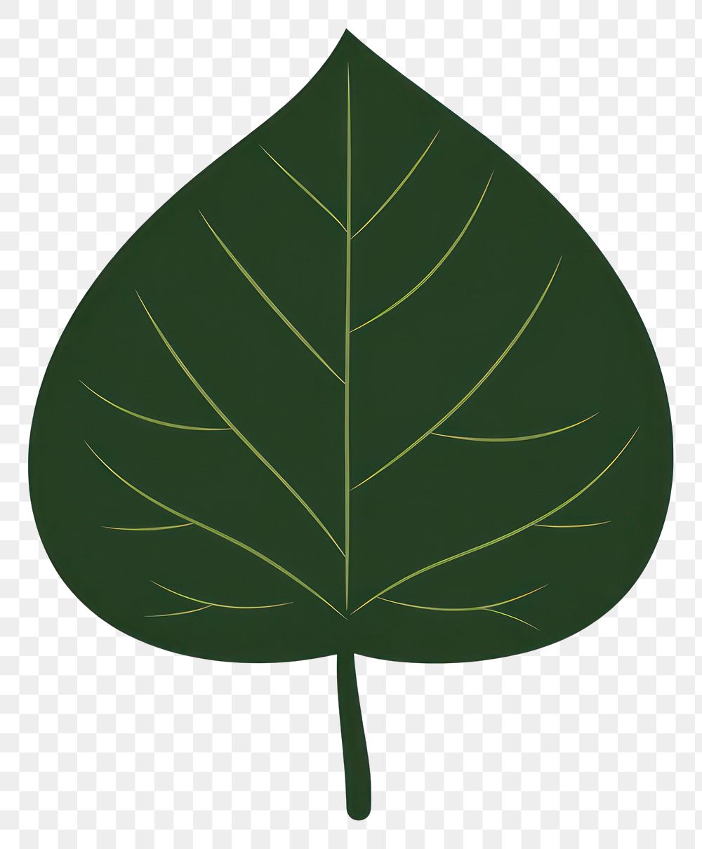 PNG Dark green rounded leaf | Free PNG - rawpixel