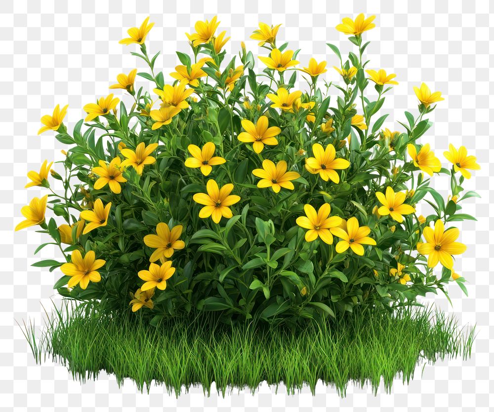 PNG Flowers yellow grass bush. | Free PNG - rawpixel