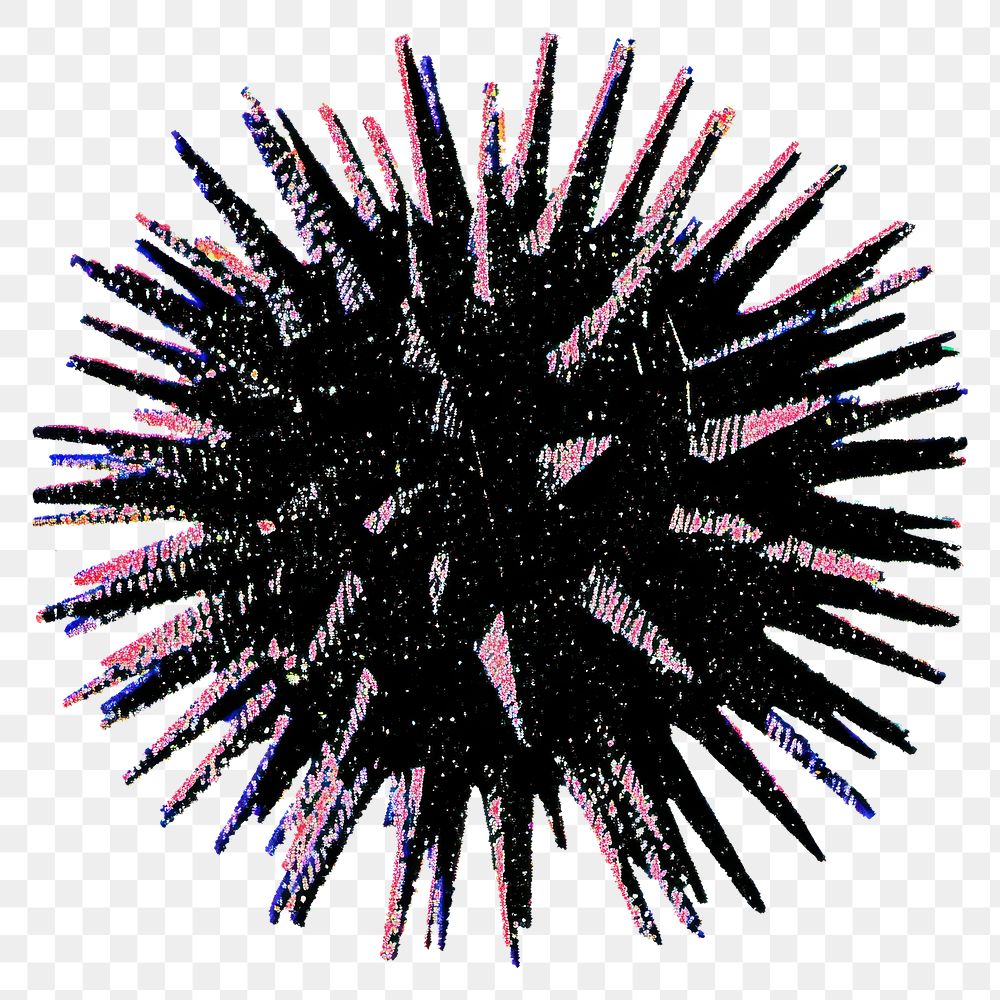 PNG Spikey ball invertebrate illustration | Free PNG - rawpixel