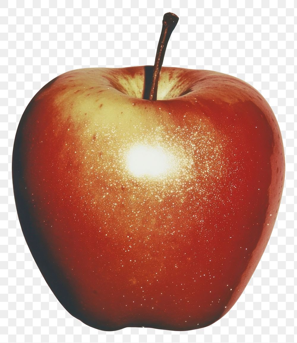 Eating Solids Images | Free Photos, PNG Stickers, Wallpapers ...