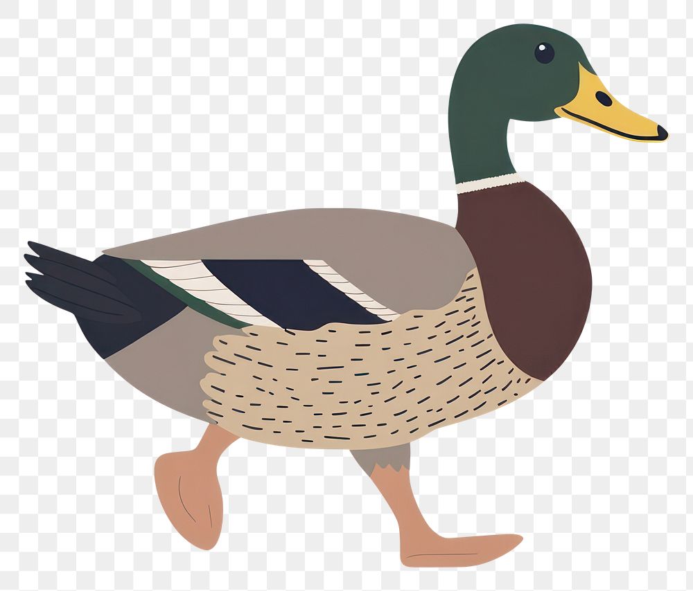 PNG Duck walking illustration animal | Free PNG - rawpixel
