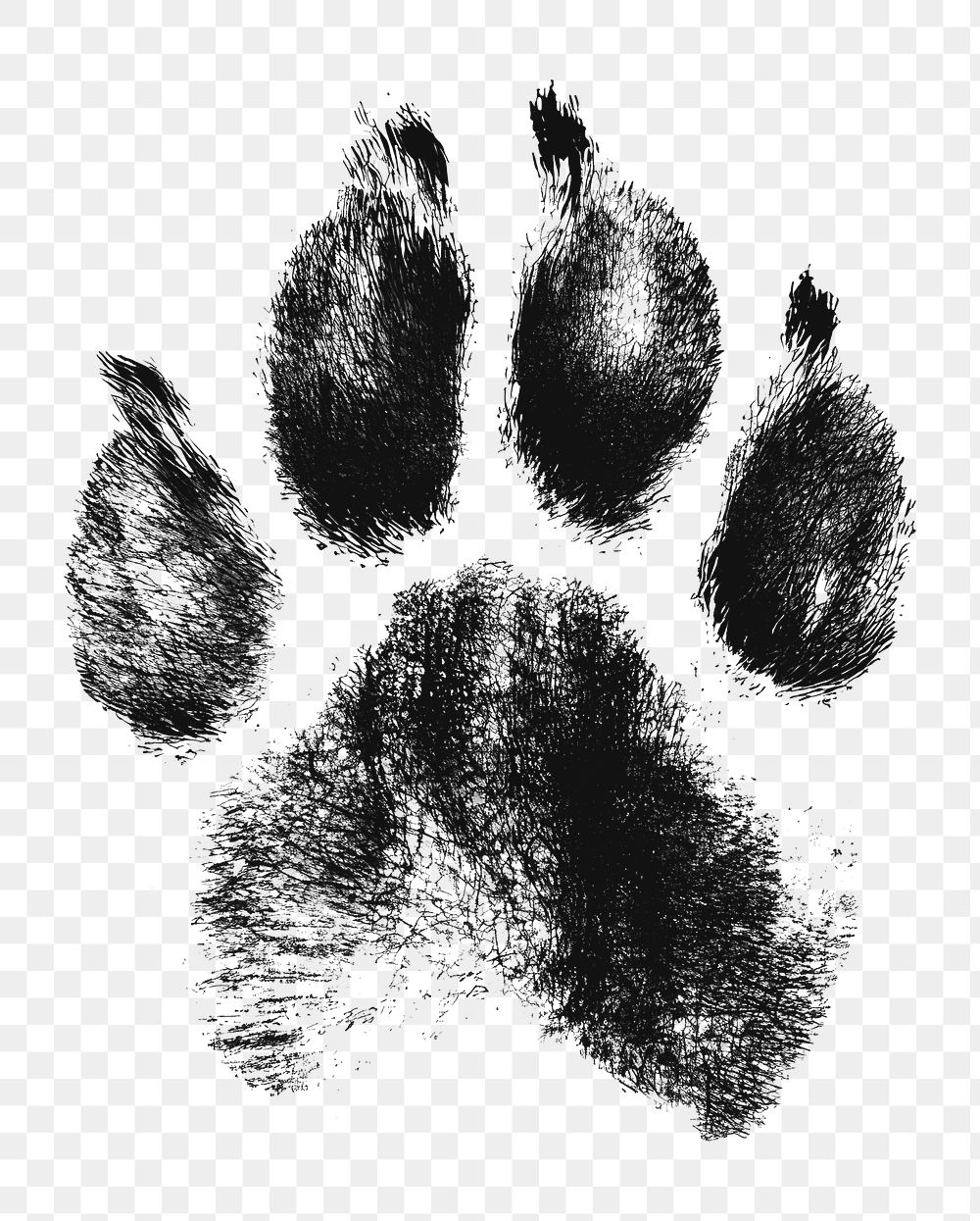 PNG Dog paw art footprint | Free PNG - rawpixel