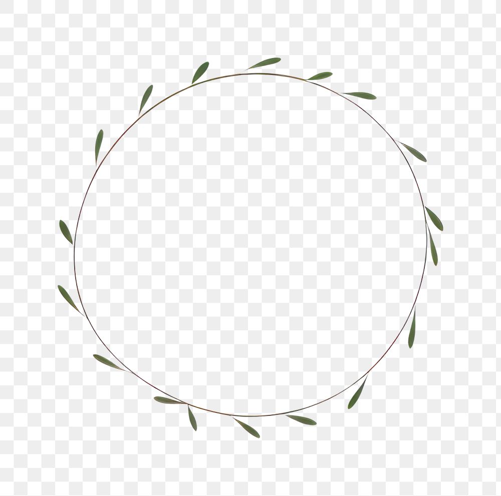 PNG Cute fresh spring leave | Free PNG - rawpixel