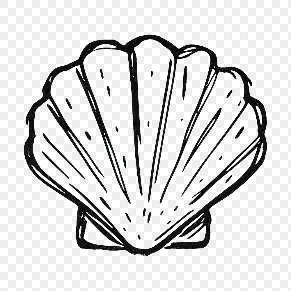 Clam Shell Drawing Images | Free Photos, PNG Stickers, Wallpapers ...