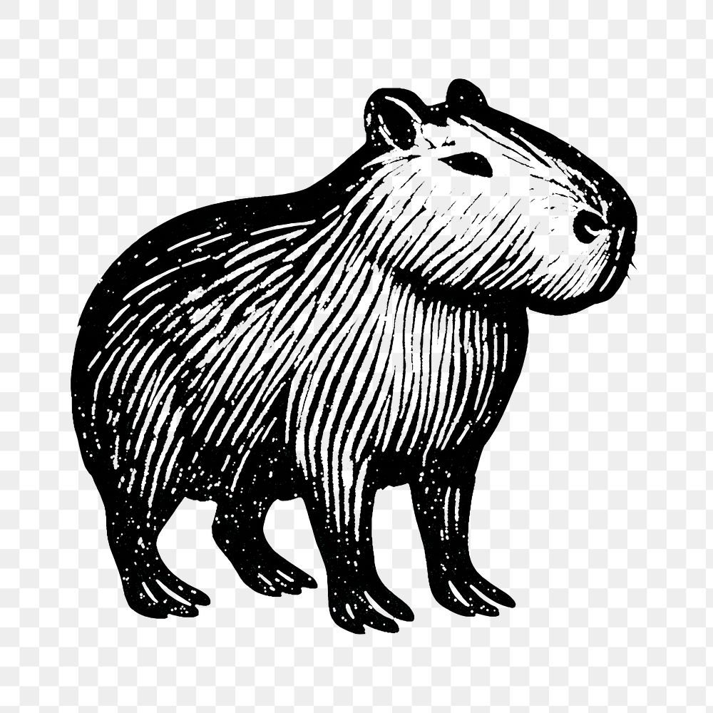 Capybara White Background Shadow Images | Download Free Design ...