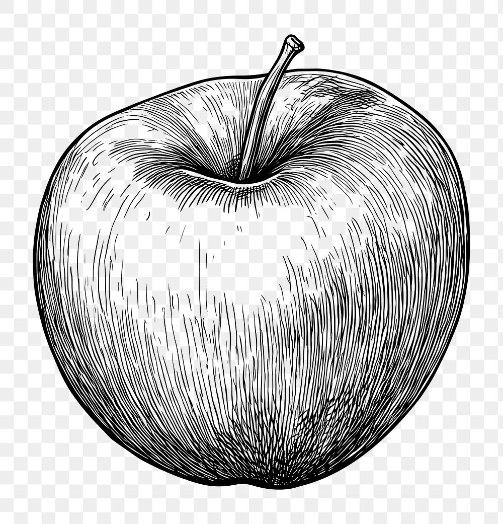 PNG Apple hand drawn art | Free PNG - rawpixel