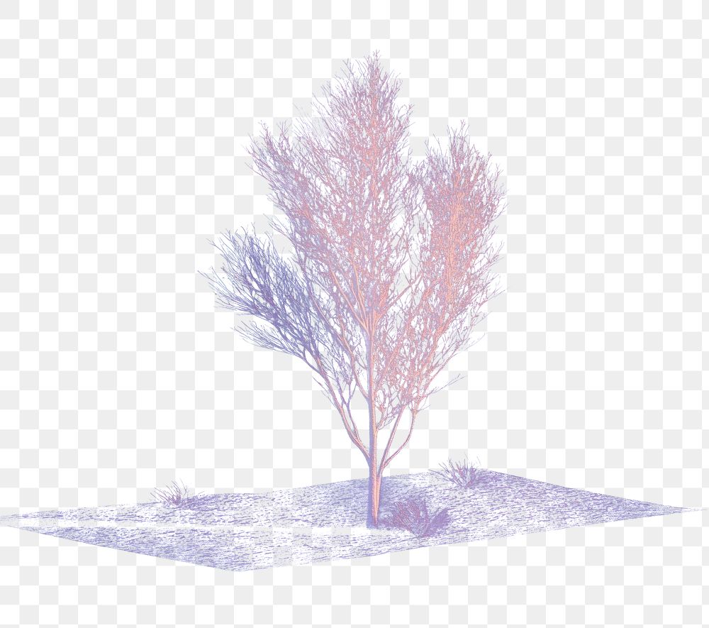 PNG Minimal tree illustration night | Free PNG - rawpixel