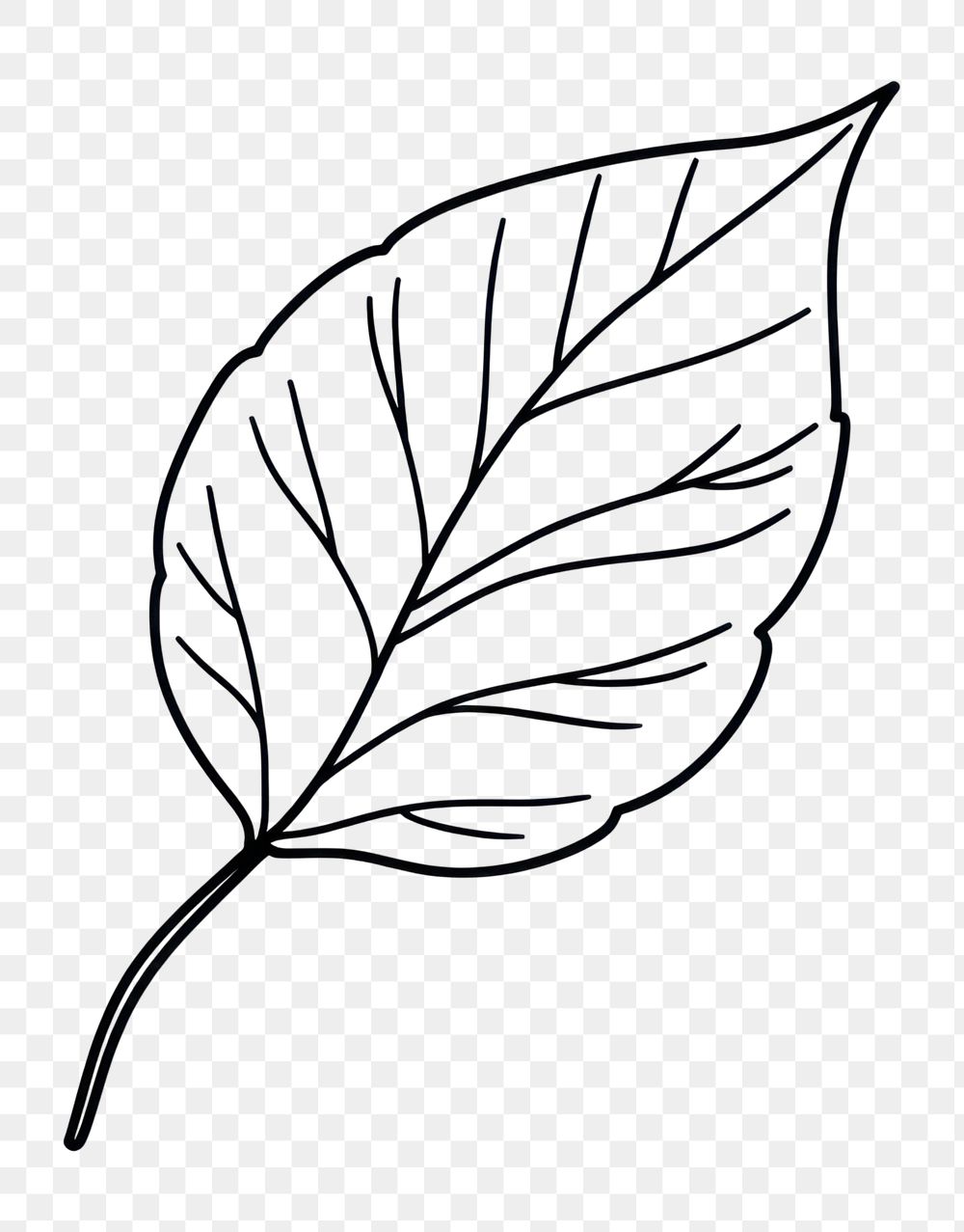 PNG Leaf drawing art simple. | Free PNG - rawpixel