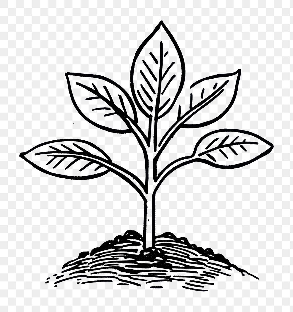 PNG Plant glow soil drawing | Free PNG - rawpixel