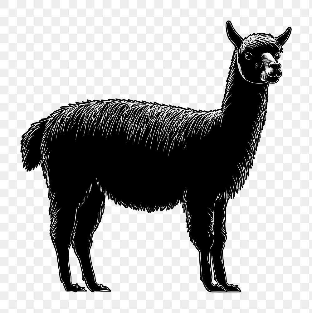 PNG Simple alpaca linear illustration | Free PNG - rawpixel