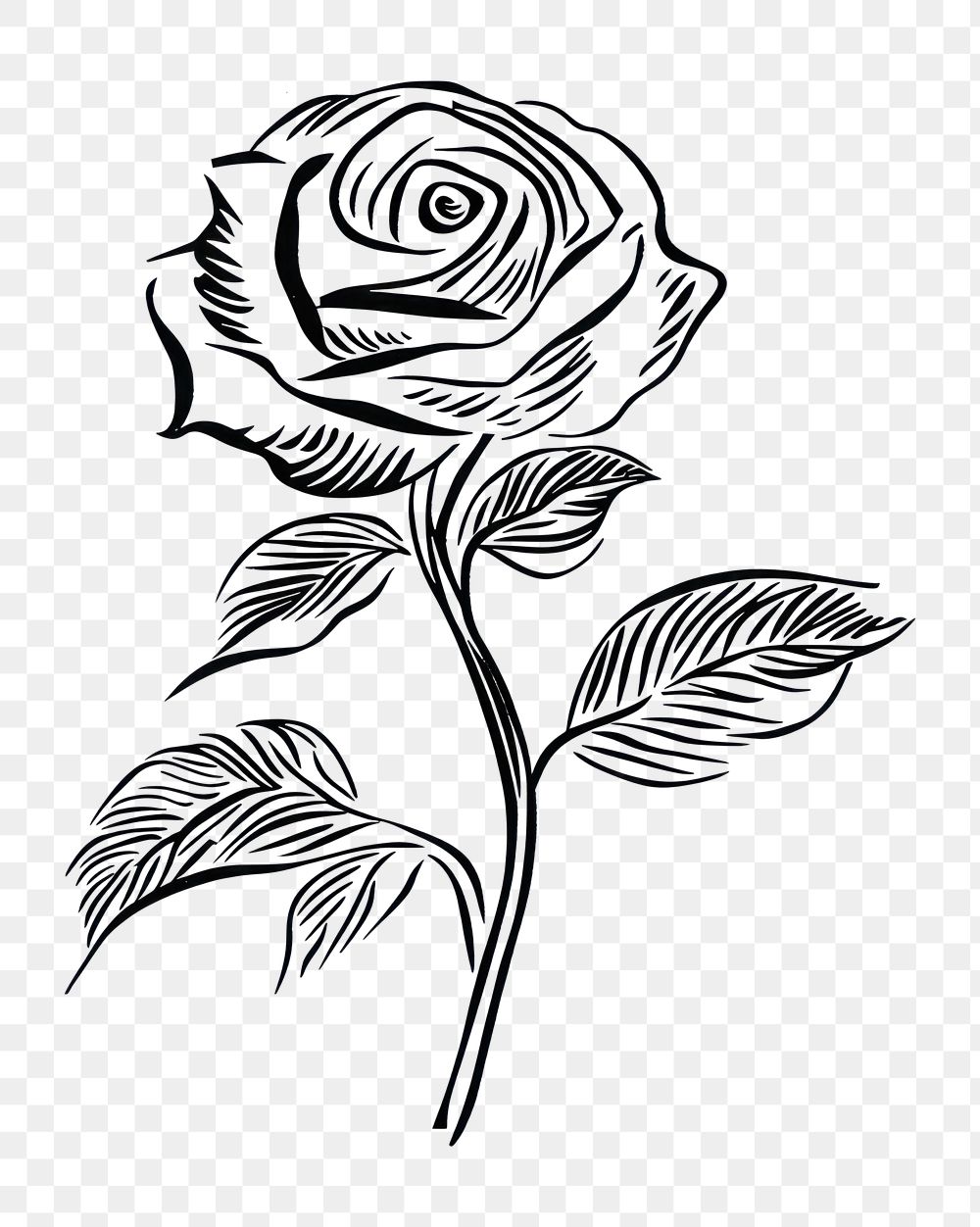 PNG Abstract rose line art | Free PNG - rawpixel
