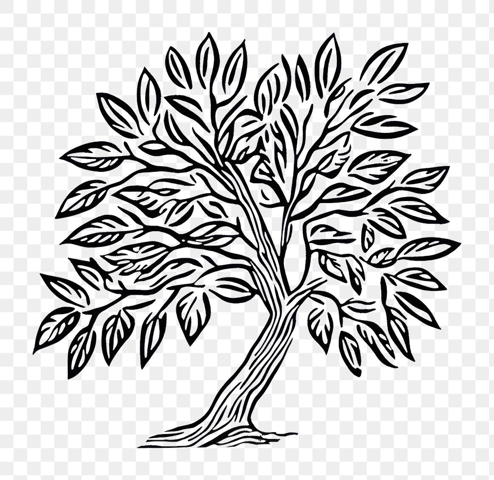PNG Bay laurel tree drawing | Free PNG - rawpixel