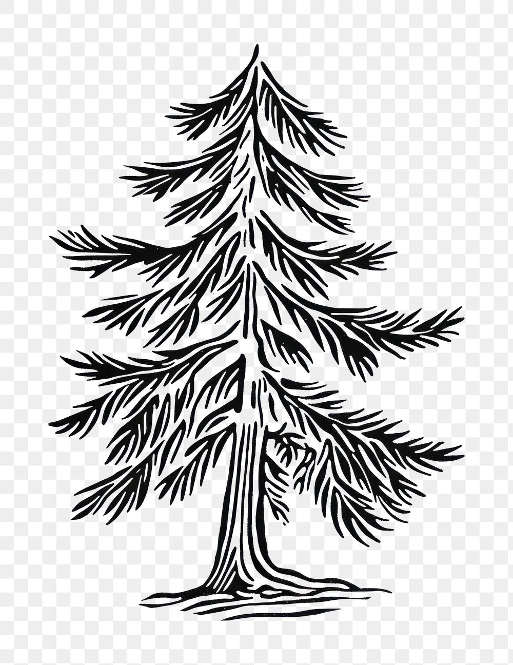 PNG Blue spruce tree drawing | Free PNG - rawpixel