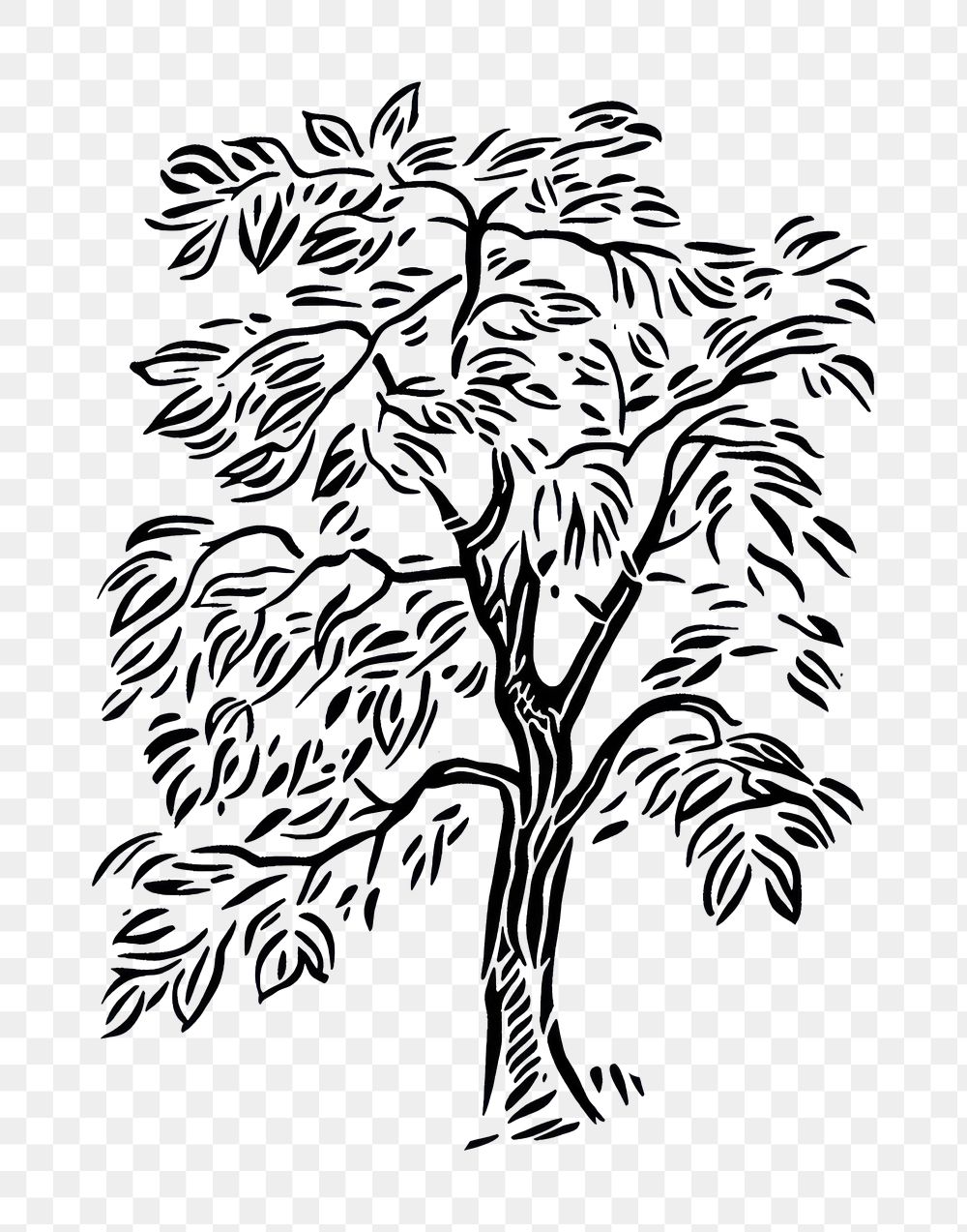 PNG Chestnut tree drawing art | Free PNG - rawpixel