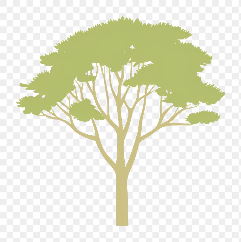 PNG Acacia tree illustration simple | Free PNG - rawpixel