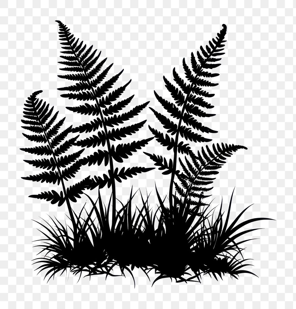 PNG Fern bushes silhouette illustration | Free PNG - rawpixel