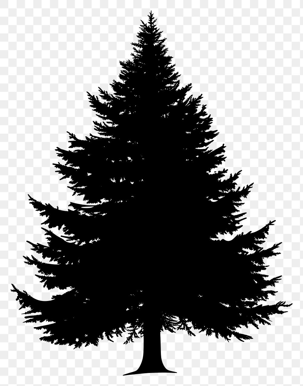 PNG Cedar tree silhouette illustration | Free PNG - rawpixel