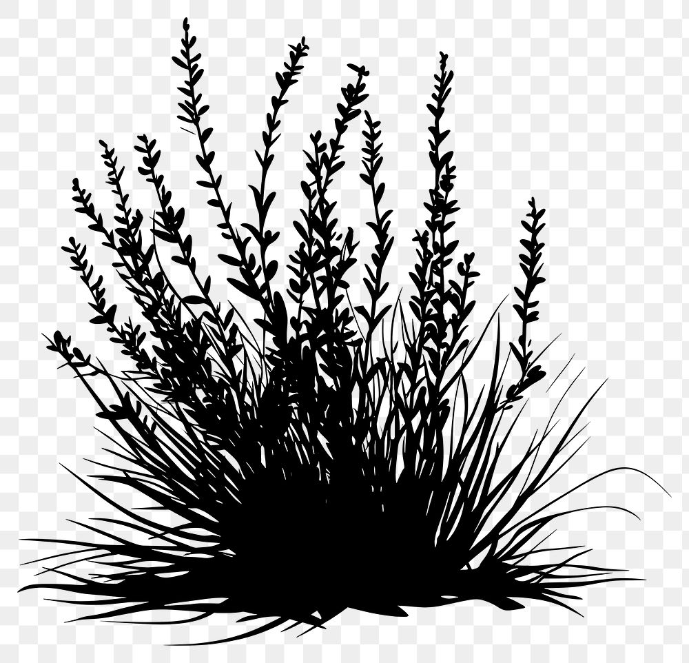 Bush Silhouette PNG Images | Free Photos, PNG Stickers, Wallpapers ...