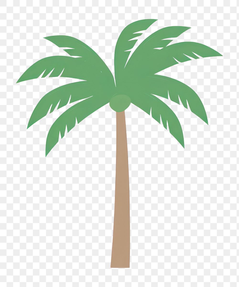 PNG Tropical palm tree illustration | Free PNG - rawpixel