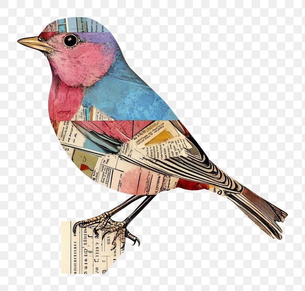 Jay Vintage Images | Free Photos, PNG Stickers, Wallpapers ...