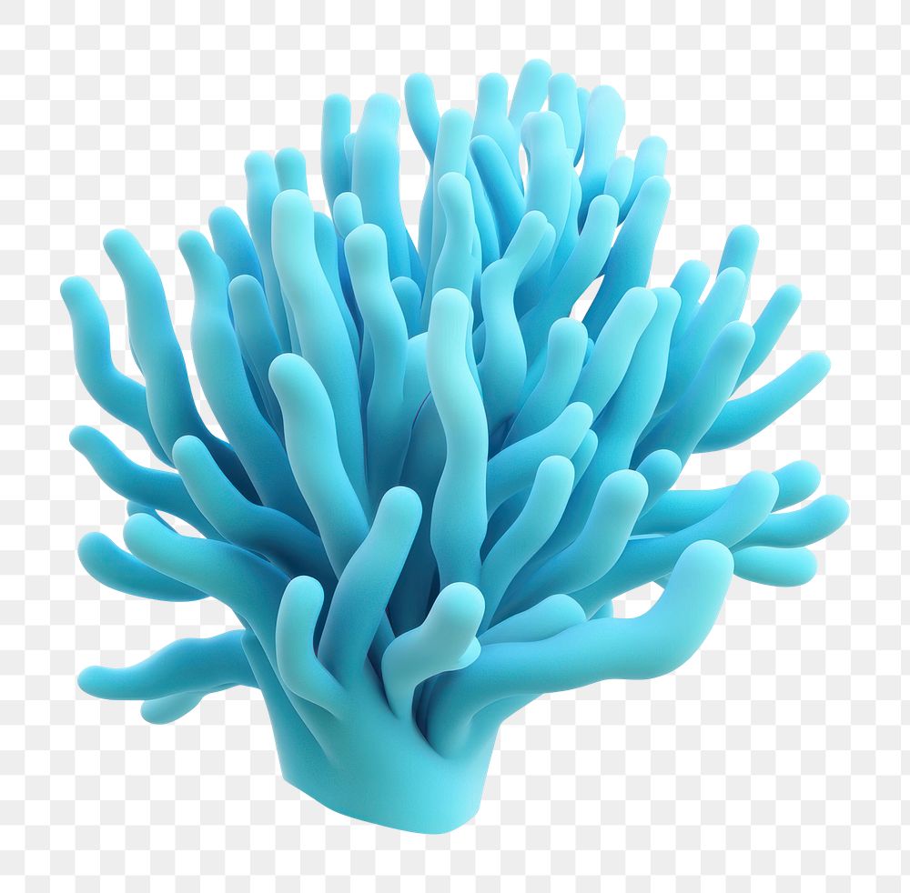 PNG Colorful cyan coral illustration | Free PNG - rawpixel