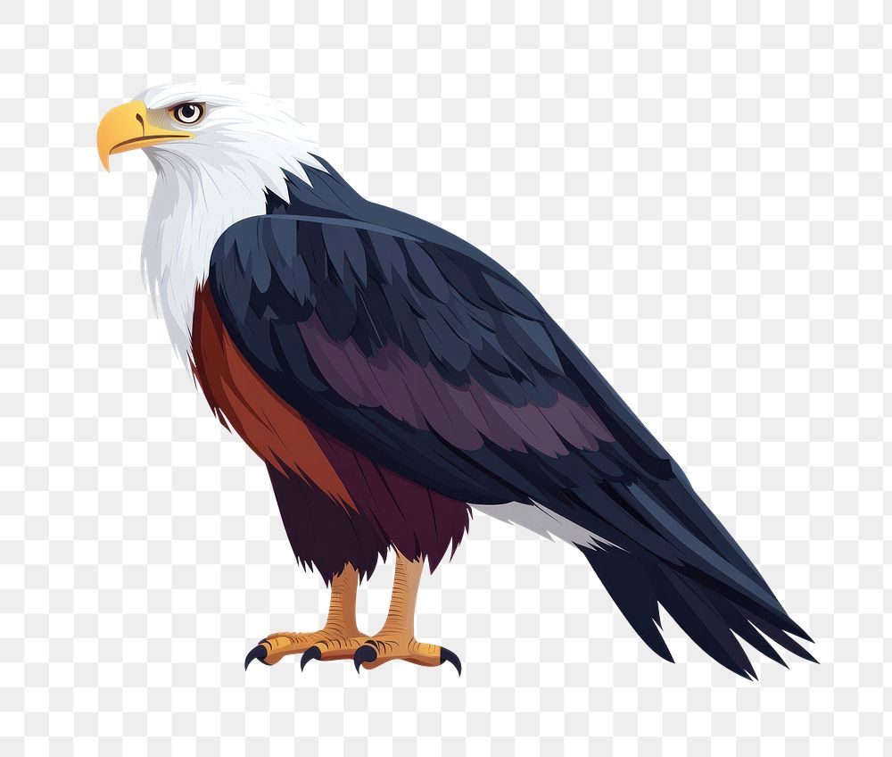 Raptor Transparent Images | Free Photos, PNG Stickers, Wallpapers ...