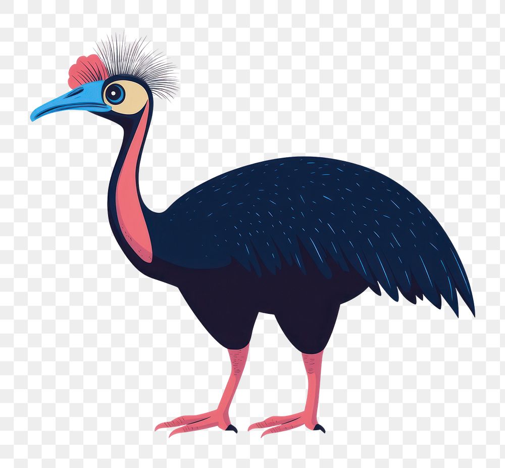 Cassowary Cartoon Images | Free Photos, PNG Stickers, Wallpapers ...
