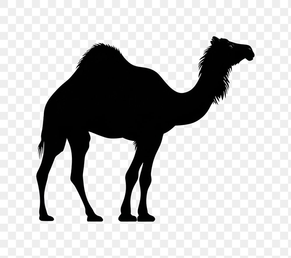 Desert+vector Texture Images | Free Photos, PNG Stickers, Wallpapers ...