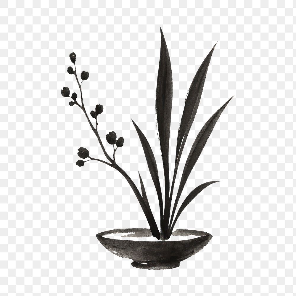 Zen Black And White Shadow Images | Free Photos, PNG Stickers ...