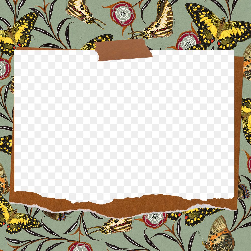 Vintage butterfly patterned png frame, | Premium PNG - rawpixel