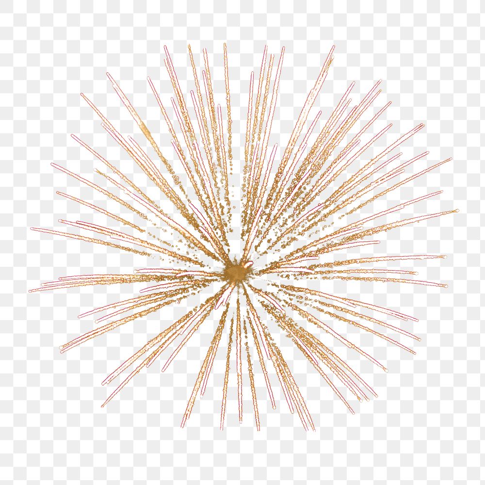 Festival firework png sticker, transparent | Premium PNG - rawpixel