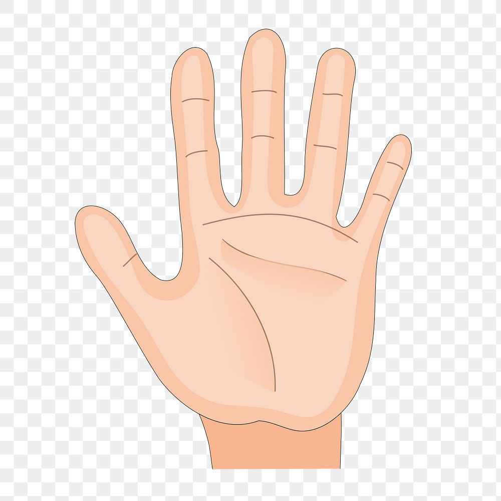 Left hand palm png sticker, | Free PNG - rawpixel