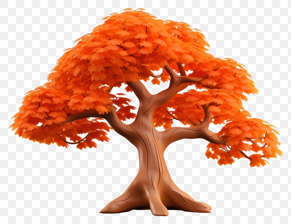 PNG Plant tree savanna branch. | Free PNG - rawpixel