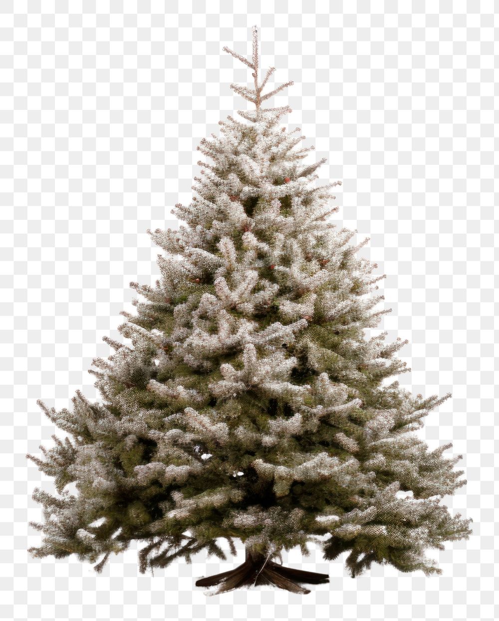 PNG Christmas plant tree pine. | Free PNG - rawpixel