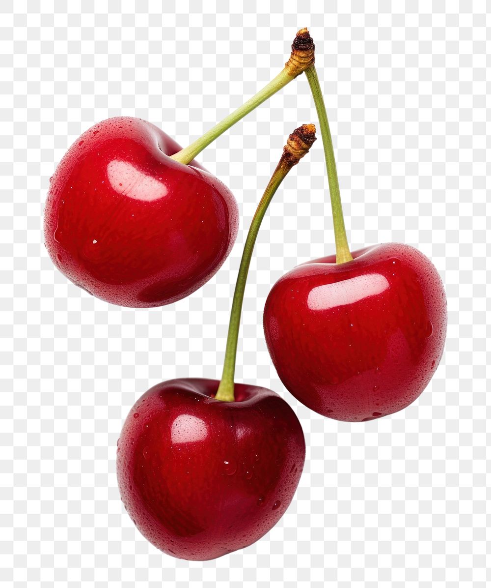 PNG Cherry fruit plant food. | Free PNG - rawpixel