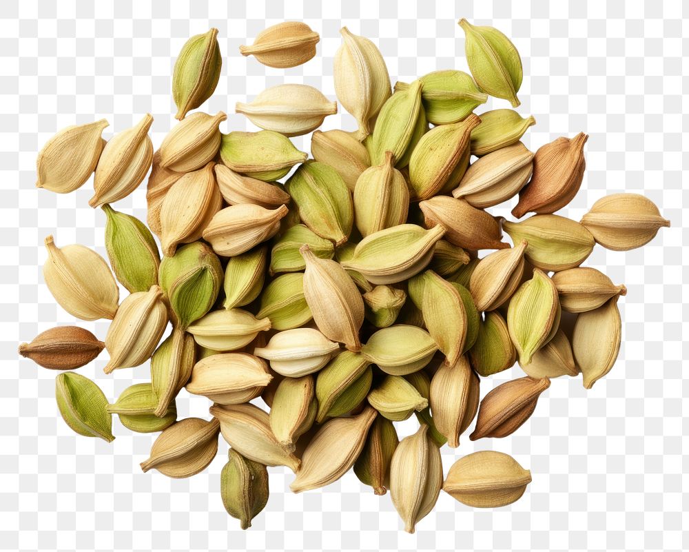 PNG Cardamom plant food | Premium PNG - rawpixel