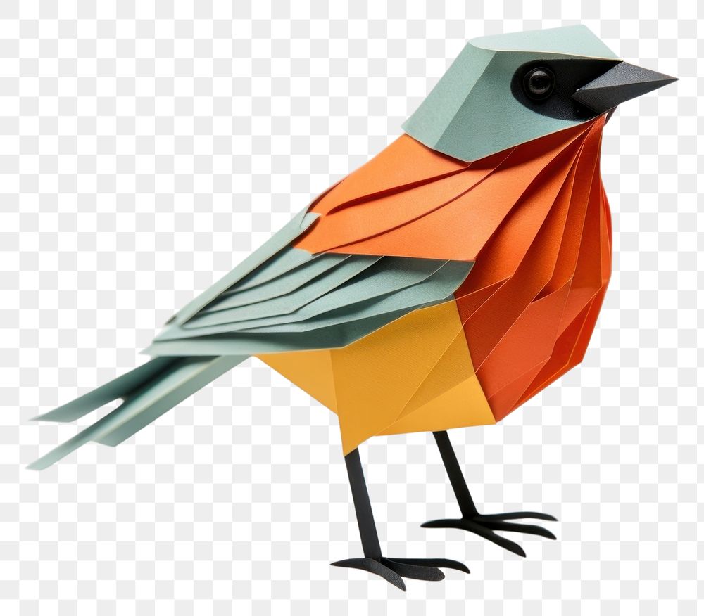 PNG Animal robin bird beak. | Free PNG - rawpixel