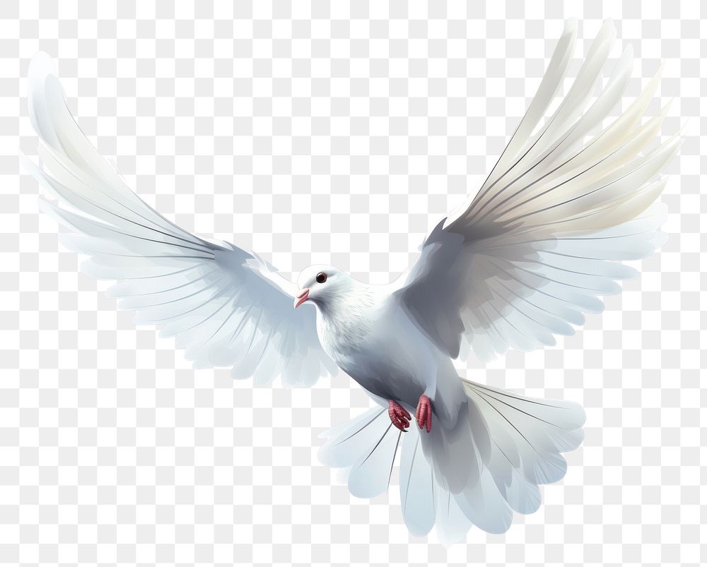 PNG Animal flying white bird. | Premium PNG - rawpixel