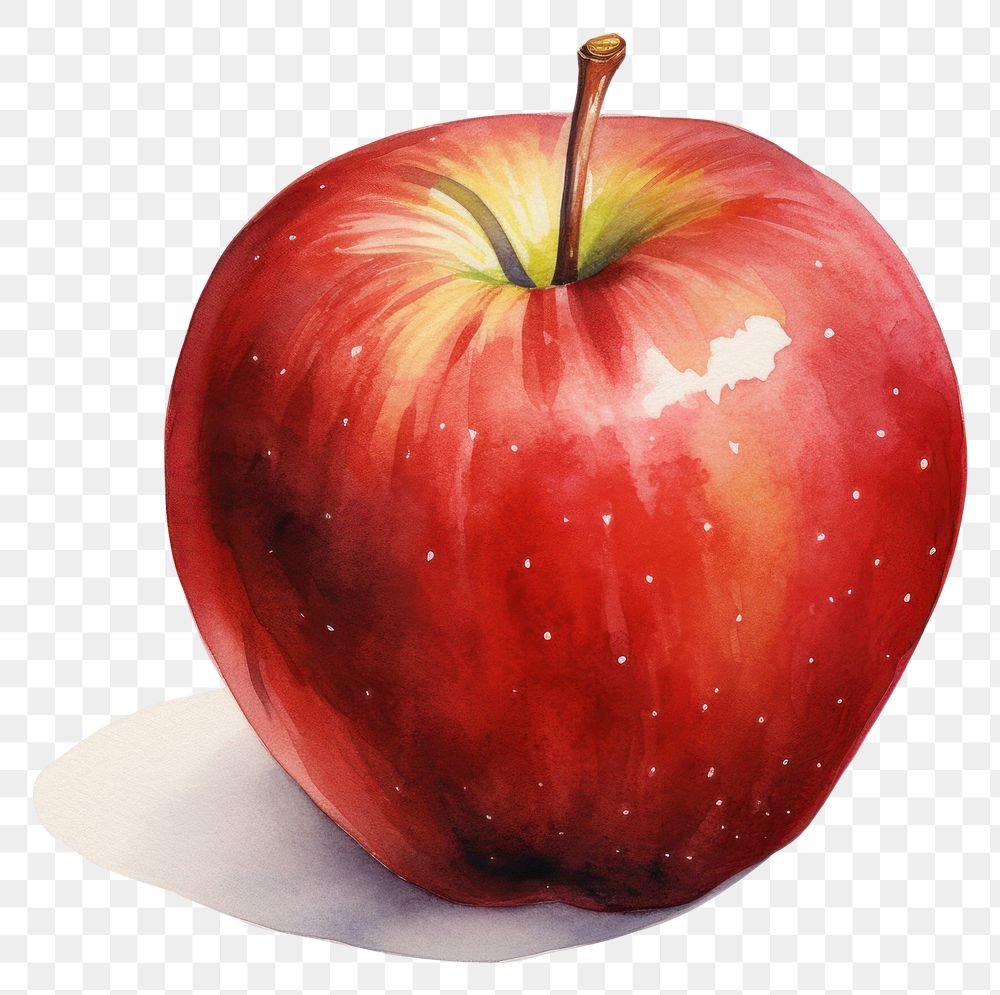 PNG Apple fruit plant food. | Premium PNG - rawpixel