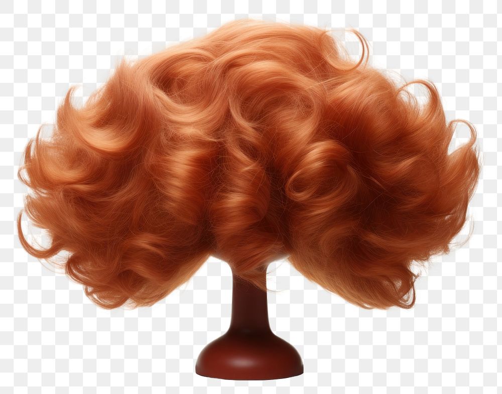 PNG Wig hairstyle headshot portrait. | Premium PNG - rawpixel