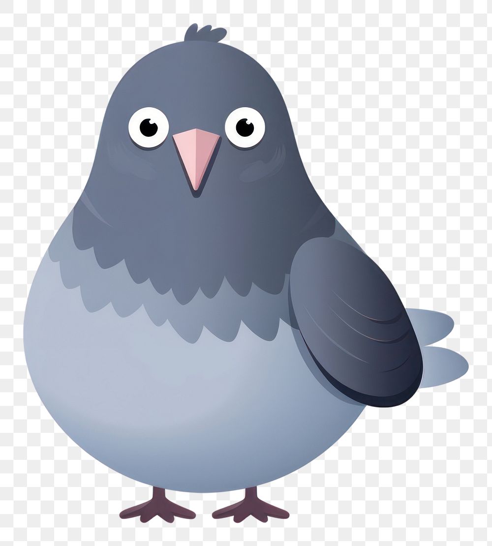 PNG Pigeon animal bird wildlife. | Free PNG - rawpixel
