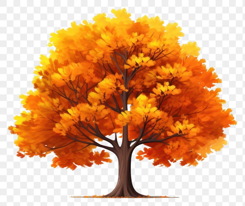 PNG Plant maple tree outdoors | Free PNG - rawpixel