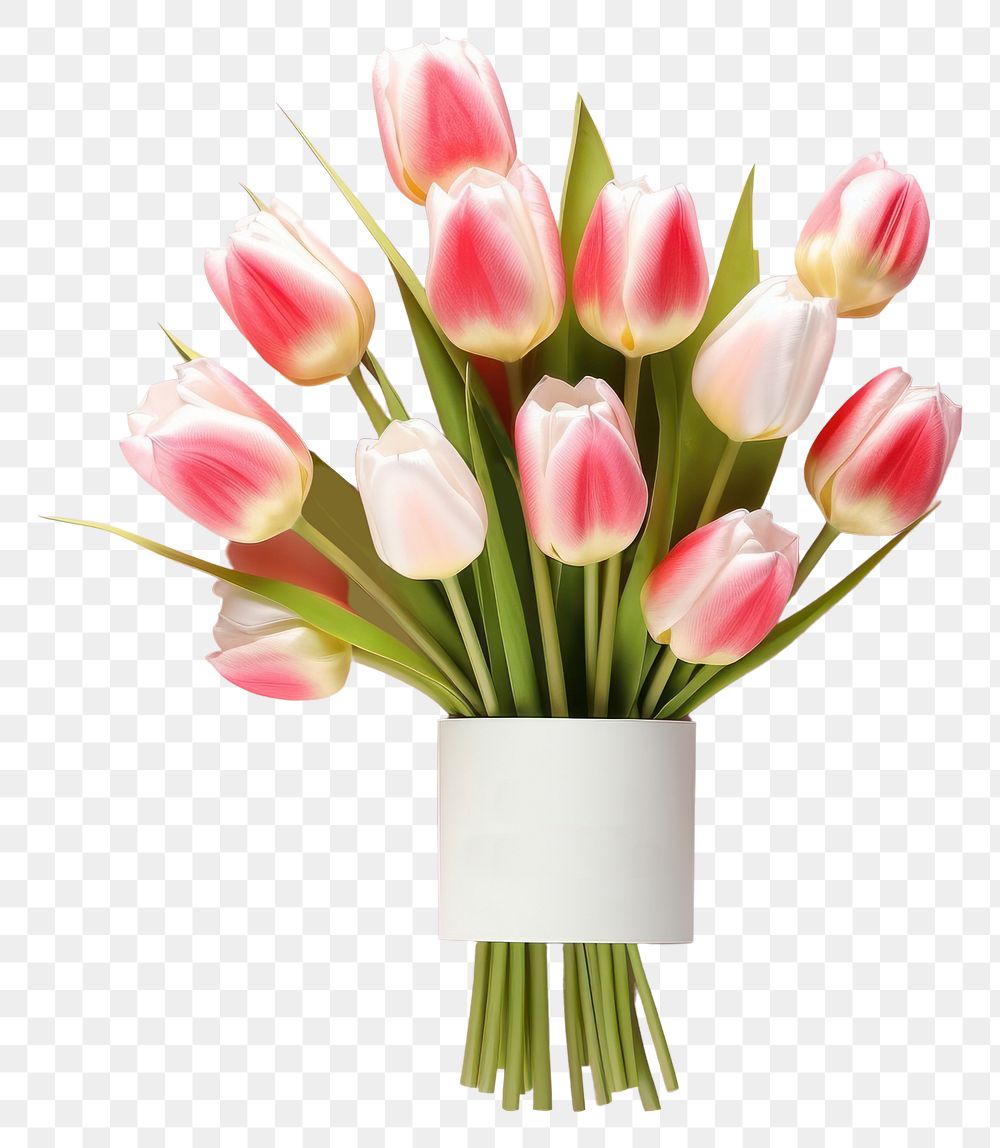 PNG Flower tulip plant vase. | Premium PNG - rawpixel