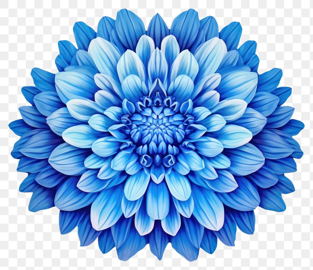 PNG Blue Flower flower dahlia | Free PNG - rawpixel