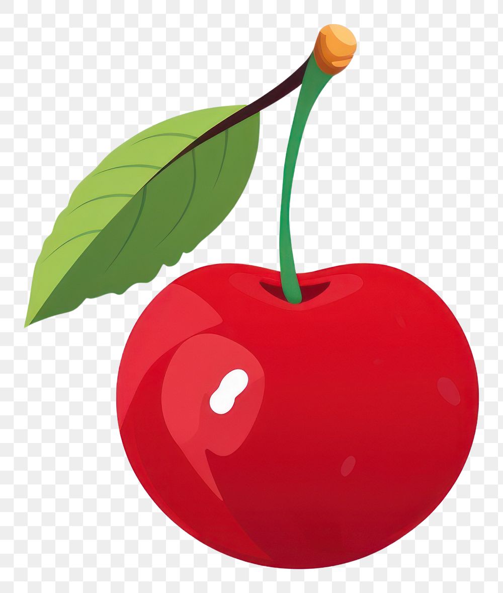 PNG Cherry fruit plant food. | Free PNG - rawpixel