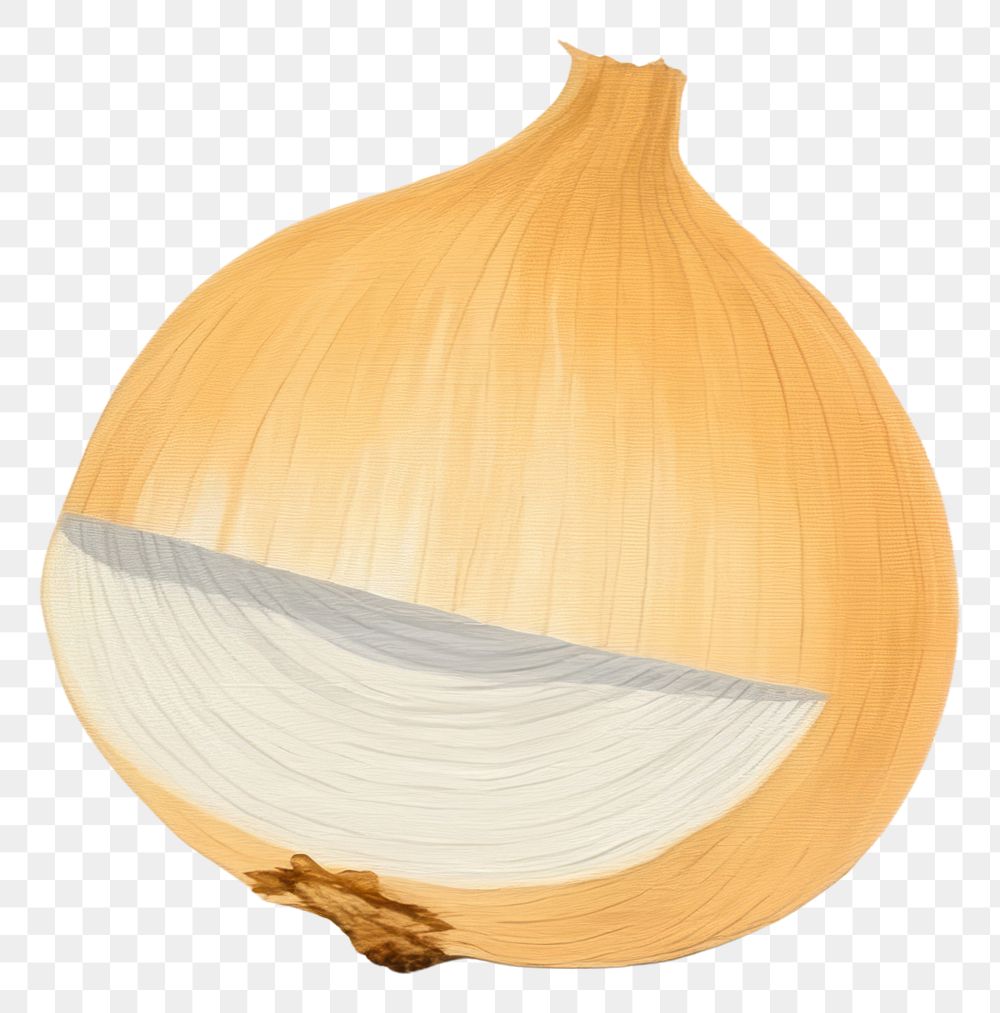 PNG Onion art simplicity vegetable. | Free PNG - rawpixel