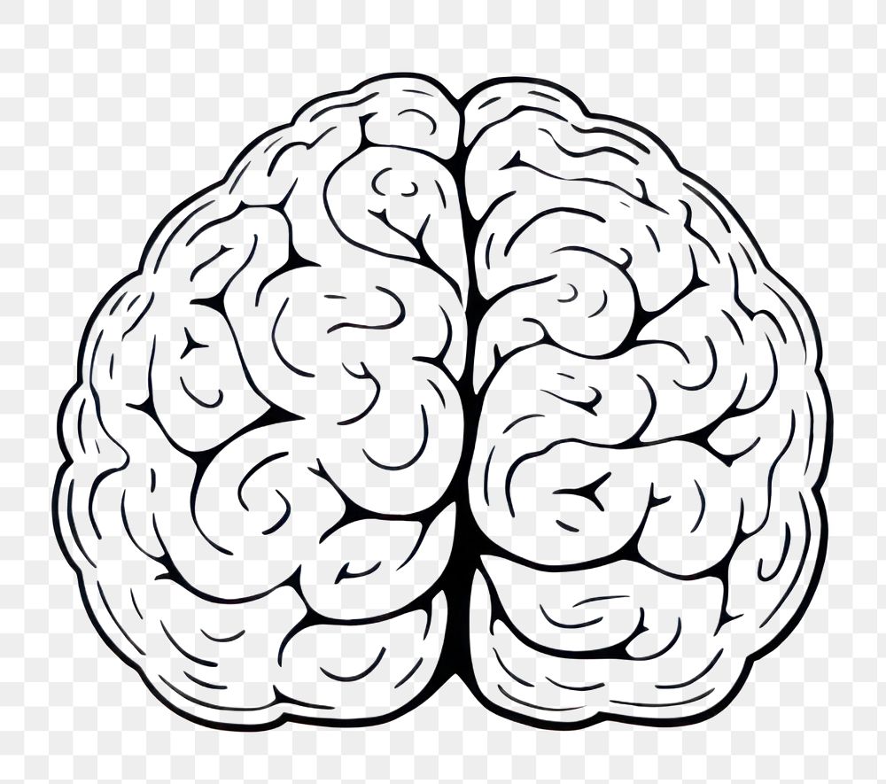 PNG Brain drawing sketch line. | Free PNG - rawpixel