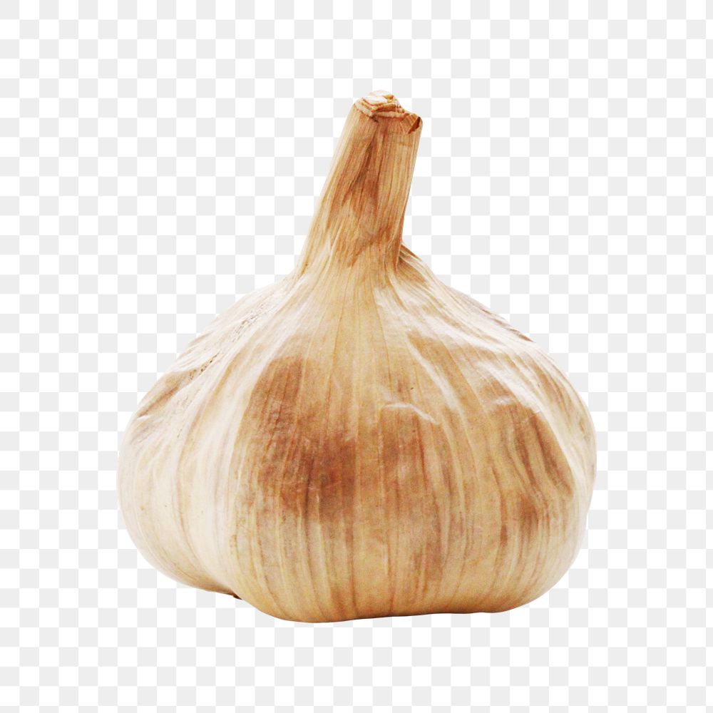 Fresh garlic png sticker, transparent | Free PNG - rawpixel