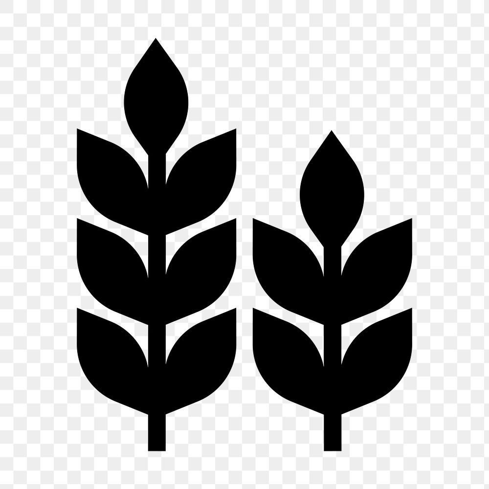 Leaves png flat icon, transparent | Premium Icons - rawpixel