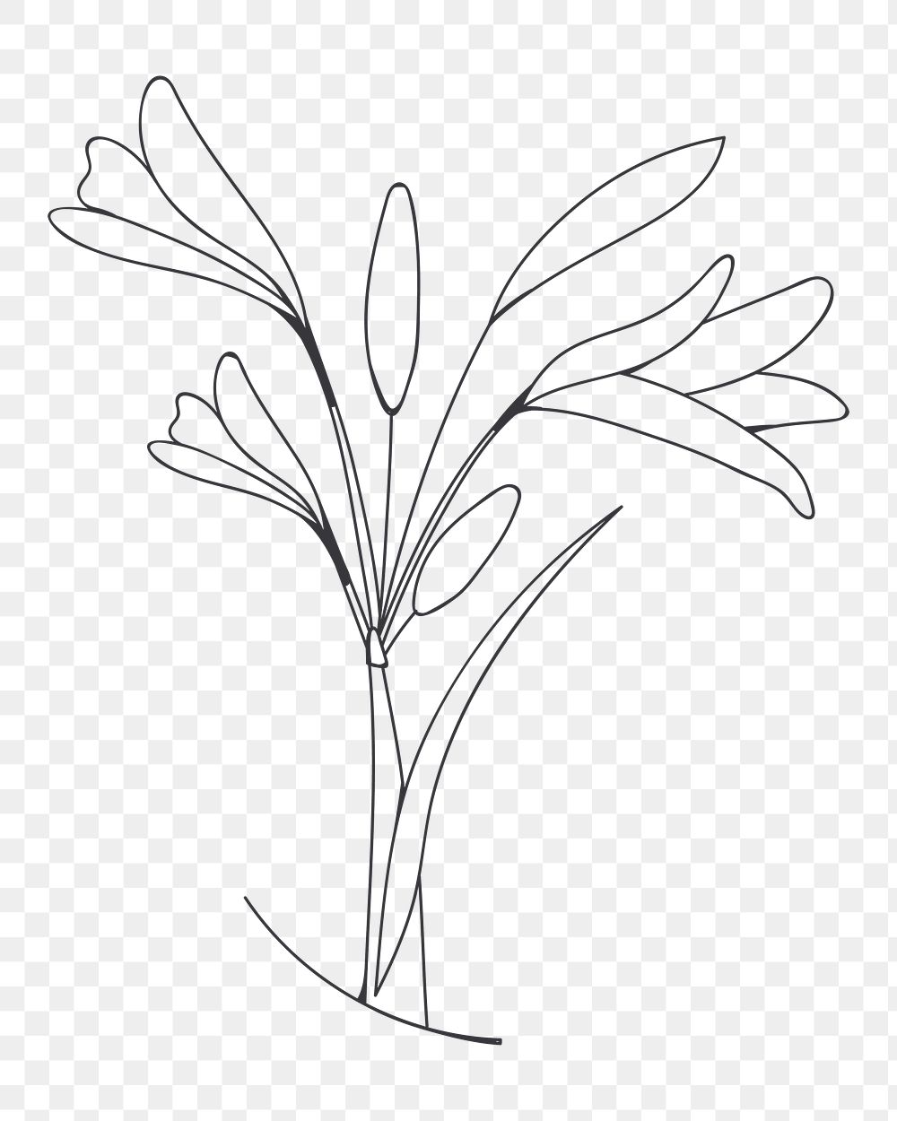 Flower element png, transparent background | Premium PNG - rawpixel